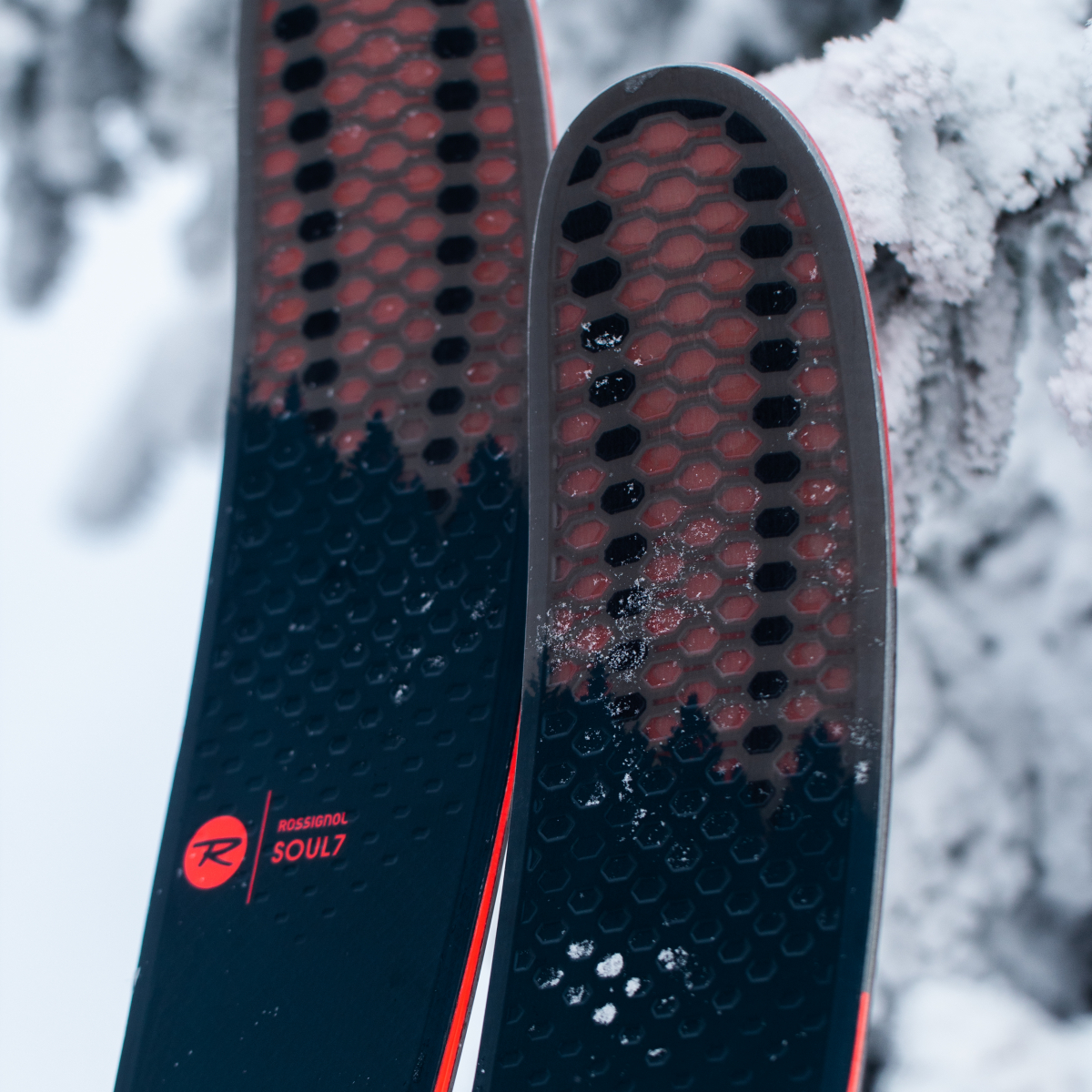 Rossignol | SLS - Официален представител на Rossignol за България